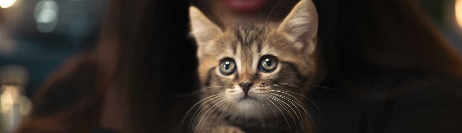 My Pet Hub Redlynch - 2 Chelsea Lane, Redlynch - (07) 4015 3219